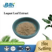 China Antioxidation Nutrient Supplement Powder Loquat Leaf Extract Powder 80 Mesh for sale