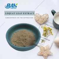 China Antioxidation Nutrient Supplement Powder Loquat Leaf Extract Powder 80 Mesh for sale