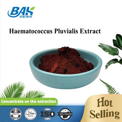 China 2%-5% Natural Cosmetic Ingredients Haematococcus Pluvialis Powder for sale