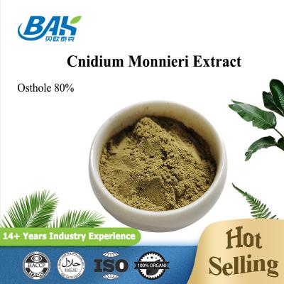 China 80% Cnidium Fruit Extract Cnidium Monnieri Extract Powder for sale