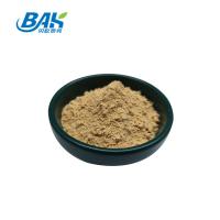 China Angelica Sinensis Dong Quai Root Extract Powder 80 Mesh 1% Ligustilide HPLC for sale