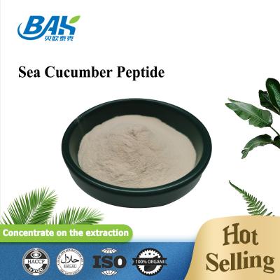 China HPLC 98% Sea Cucumber Peptide Protein Powder for Skin Anti Aging 1KG for sale