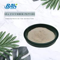 China HPLC 98% Sea Cucumber Peptide Protein Powder for Skin Anti Aging 1KG for sale