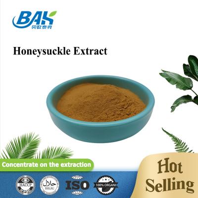 China Honeysuckle Extract Immune Enhancing Supplements 5% Chlorogenic Acid for sale