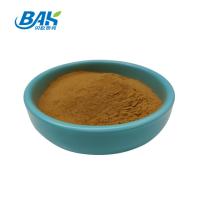 China Honeysuckle Extract Immune Enhancing Supplements 5% Chlorogenic Acid for sale