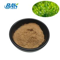 China Polyphenol 10% - 98% Green Tea Extract Powder Cas 84650-60-2 for sale
