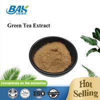 China Polyphenol 10% - 98% Green Tea Extract Powder Cas 84650-60-2 for sale