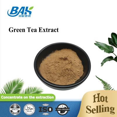China Polyphenol 10% - 98% Green Tea Extract Powder Cas 84650-60-2 for sale