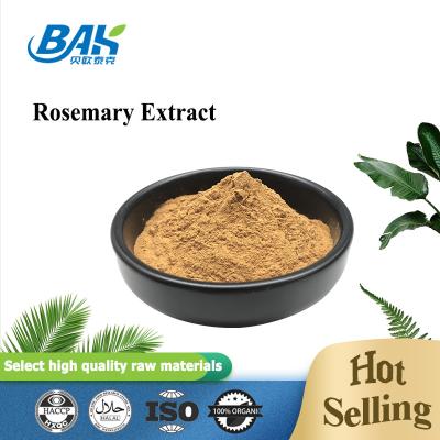 China HPLC Rosemary Leaf Extract Rosmarinic Acid 98% for sale