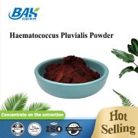 China Natural Haematococcus Pluvialis Astaxanthin Powder 1% 5% UV HPLC Antioxidant for sale