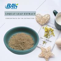 China Loquat Leaf Extract Corosolic Acid 1% 20% HPLC Weight Loss Supplement Powder for sale
