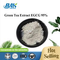 China 1kg/bag Liver Protection Supplement Green Tea Extract Powder for sale
