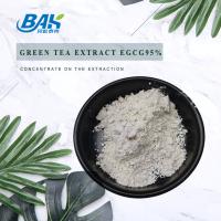 China Green Tea Extract EGCG 95% Powder CAS 989-51-5 Immune Support Supplement 99% Assay for sale