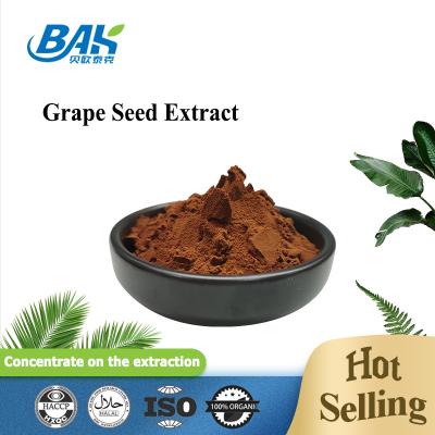 China Water Solvent Anthocyanin Extract Supplement Grape Seed Extract Powder Reddish Brown for sale