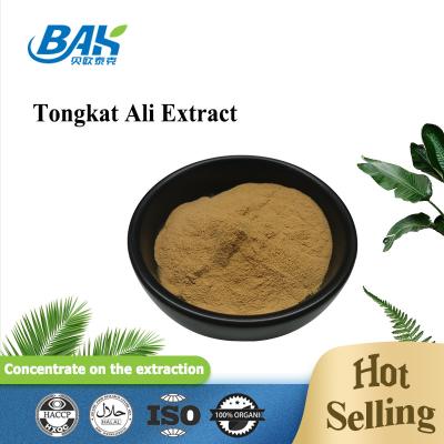 China 100:1 Tongkat Ali Root Extract Powder Eurycomanone 1% - 10% for sale