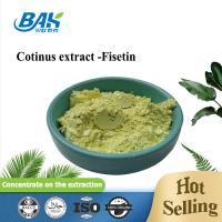 China Cotinus Extract Fisetin Powder 98% Nutrient Supplement CAS 528-48-3 80 Mesh for sale