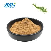 China Rosemary Extract Rosmarinic Acid 2% to 98% Liver Protection Supplement Antioxidant for sale