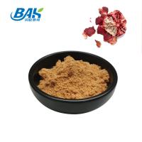 China Punicalagin Immune Enhancing Supplements Pomegranate Peel Extract for sale