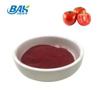 China Tomato Extract Lycopene 10% Powder Antioxidation Supplement 80 Mesh for sale