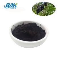 China 1% - 25% Anthocyanin Extract Supplement Elderberry Extract Powder Boost Immunity for sale