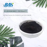 China 1% - 25% Anthocyanin Extract Supplement Elderberry Extract Powder Boost Immunity for sale