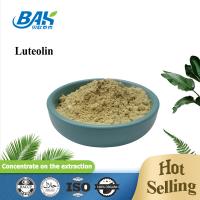 China Luteolin Powder 98% Immune Enhancing Supplement CAS 491-70-3 Natural Bioflavonoid for sale