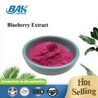 China Blueberry Extract Anthocyanin 5% 25% Supplement Powder Antioxidant Bulk for sale