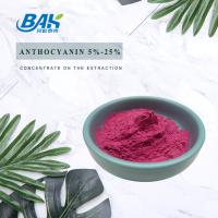 China Blueberry Extract Anthocyanin 5% 25% Supplement Powder Antioxidant Bulk for sale