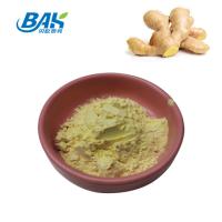 China Water Soluble Ginger Extract Powder Gingerol 1% 5% Mens Health Supplement for sale