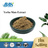 China Nutritional Liver Protection Supplement Yerba Mate Extract Powder 10:1 for sale
