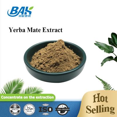 China Nutritional Liver Protection Supplement Yerba Mate Extract Powder 10:1 for sale