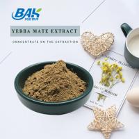 China Nutritional Liver Protection Supplement Yerba Mate Extract Powder 10:1 for sale
