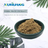 China Nutritional Liver Protection Supplement Yerba Mate Extract Powder 10:1 for sale