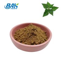 China 0.8% Nettle Extract Nutrient Supplement Powder 100% Pass 80 Mesh for sale