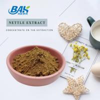 China 0.8% Nettle Extract Nutrient Supplement Powder 100% Pass 80 Mesh for sale