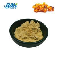 China Seabuckthorn Hippophae Rhamnoides Extract Powder 10%-50% Flavone Nutrient Supplement for sale