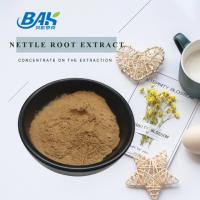 China HACCP Immune Enhancing Supplements Nettle Root Extract Powder CAS 83-46-5 for sale