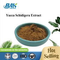 China Yucca Schidigera Extract Nutrient Supplement Powder 30% - 60% Sarsaponin for sale