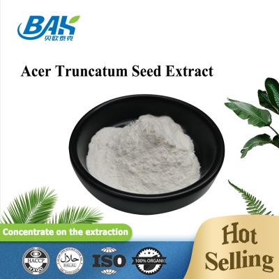 China Nervonic Acid 90% Powder Acer Truncatum Seed Extract CAS 506-37-6 Brain Health Supplement for sale