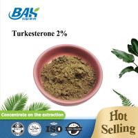 China Ajuga Turkestanica Extract Turkesterone 2% Powder Bodybuilding Supplement 1kg for sale