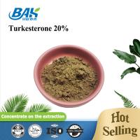 China Ajuga Turkestanica Extract Turkesterone Powder 20% for sale