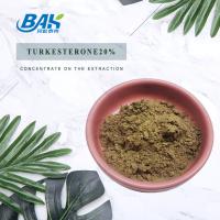 China Ajuga Turkestanica Extract Turkesterone Powder 20% for sale