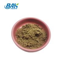 China Ajuga Turkestanica Extract Turkesterone Powder 20% for sale
