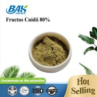 China Halal Cnidium Monnieri Extract Fructus Cnidii 80% Powder for sale