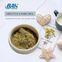 China Halal Cnidium Monnieri Extract Fructus Cnidii 80% Powder for sale