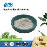 China BAK Natural Food Additives Lactobacillus Rhamnosus Powder for sale