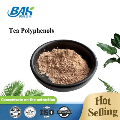 China Green Tea Extract Natural Food Additives Tea Polyphenol 98% for sale