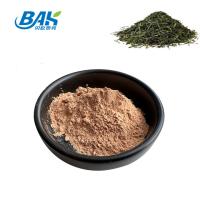 China Green Tea Extract Natural Food Additives Tea Polyphenol 98% for sale