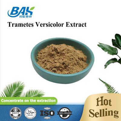 China Food Grade Trametes Versicolor Extract 10% 50% Polysaccharide Mushroom Supplement for sale