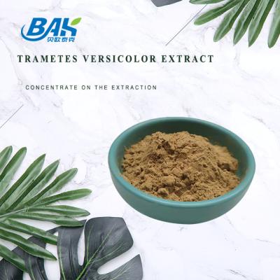 China 10% - 50% Trametes Versicolor Extract Powder Mushroom Extract Supplement for sale